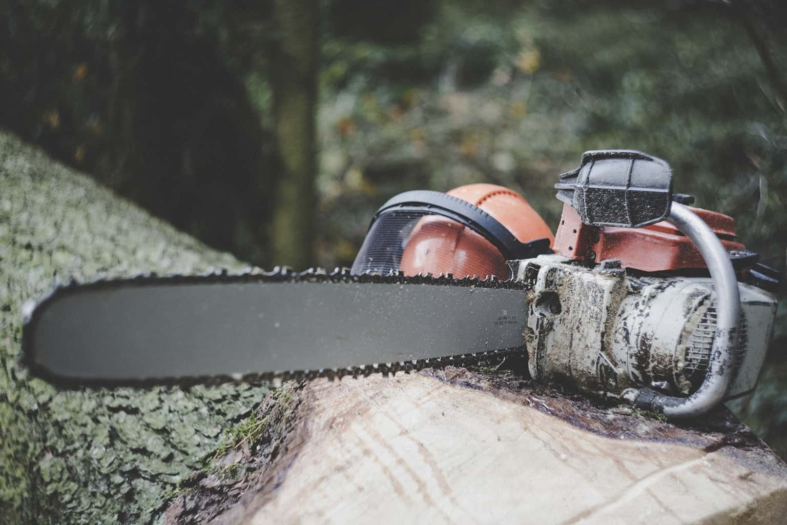 How to Measure Chainsaw Size | SawsHub
