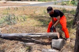 How to Cut Logs Into Lumber With a Chainsaw | SawsHub