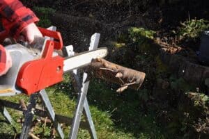 How to Hold Logs While Cutting With a Chainsaw | SawsHub