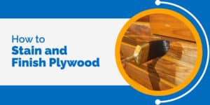How to Quickly Stain and Finish Plywood | SawsHub