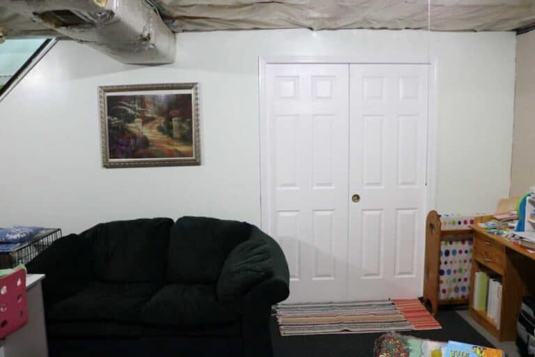 Top 20 Best Basement Door Ideas | SawsHub