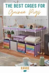15 Easy DIY Guinea Pig Cage Ideas | SawsHub