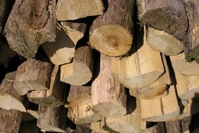 Top 20 Wood Carving Ideas for Beginners and Experts | SawsHub