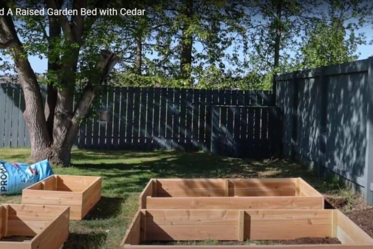 Top 19 DIY Cedar Wood Projects | SawsHub