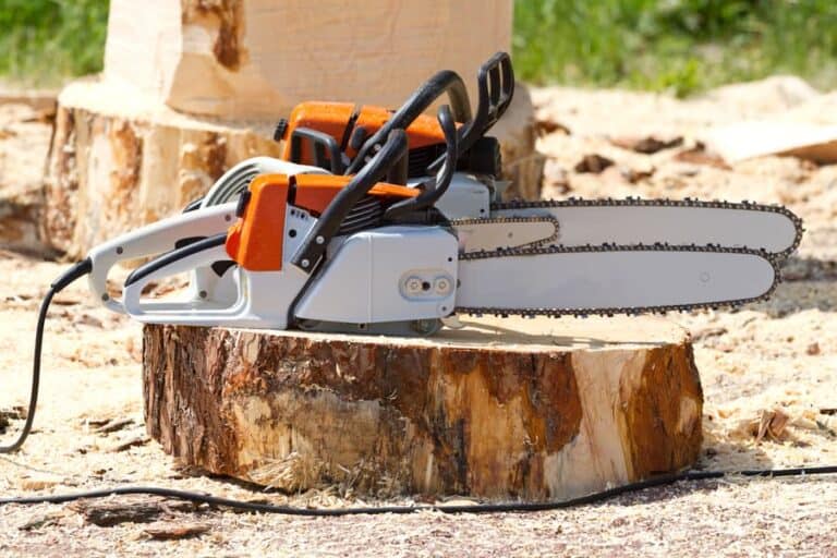 Best Budget Chainsaw [2024 Review] | SawsHub