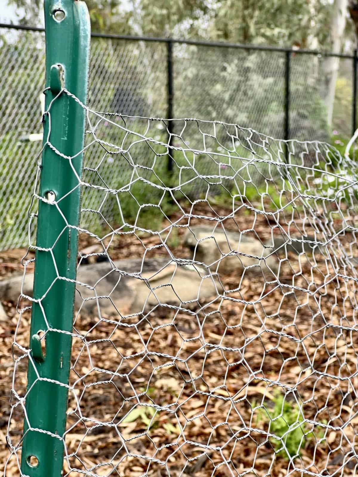 How to Cut Hardware Cloth? | SawsHub