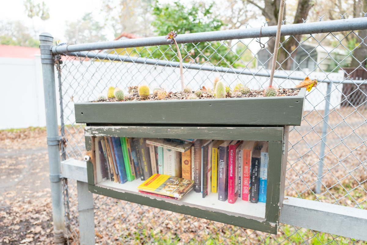 How to Build a Little Free Library For Your Front Yard | SawsHub
