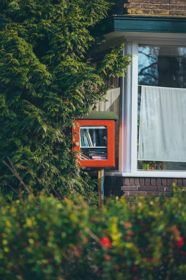How to Build a Little Free Library For Your Front Yard | SawsHub